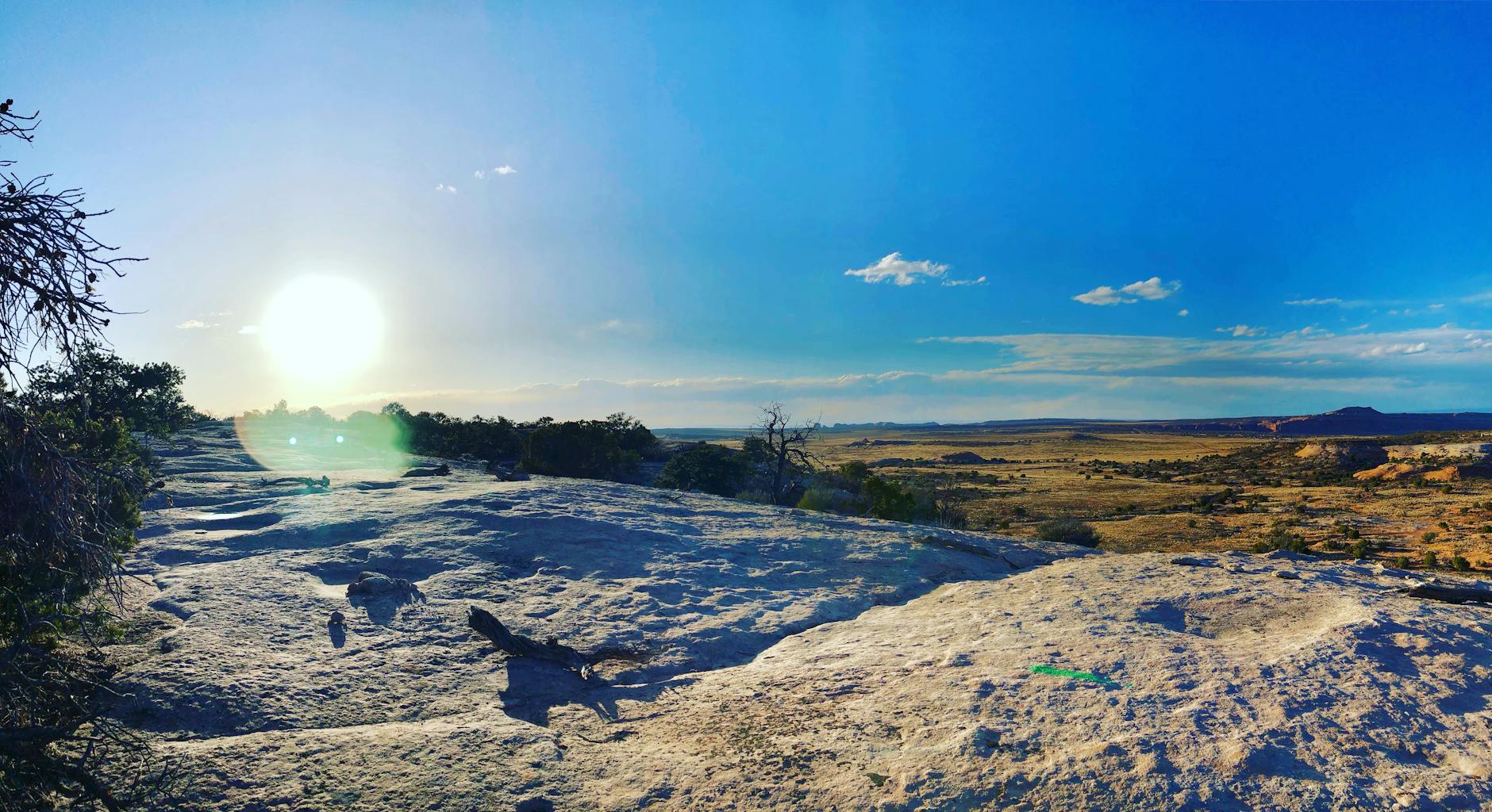 How to Create a Logo for My Own Earth Day Awareness Event ...