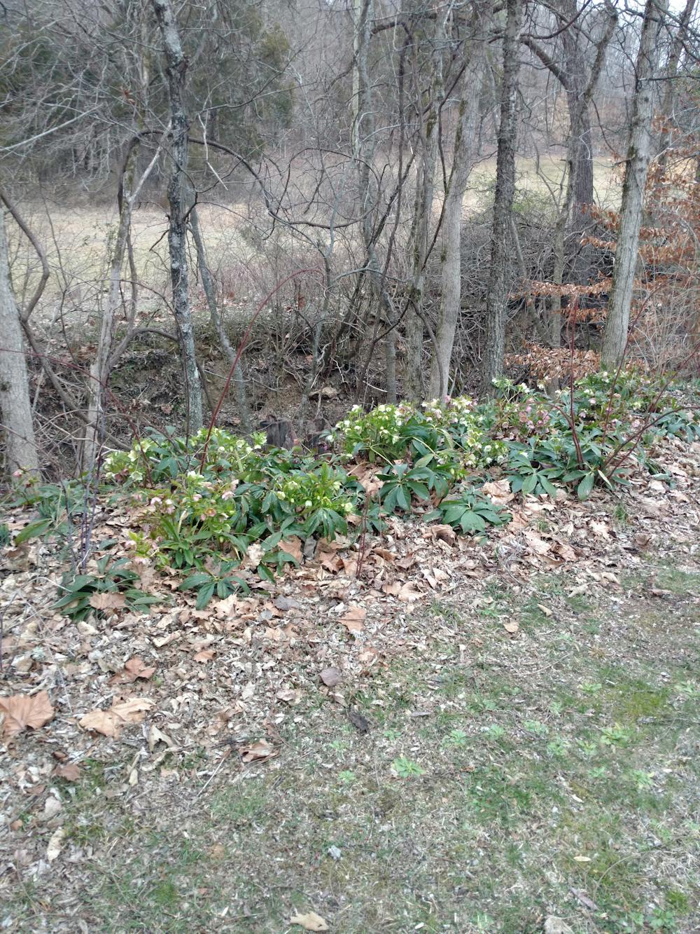 How To Get Clients For Your Soap Business Logomakershop Blog