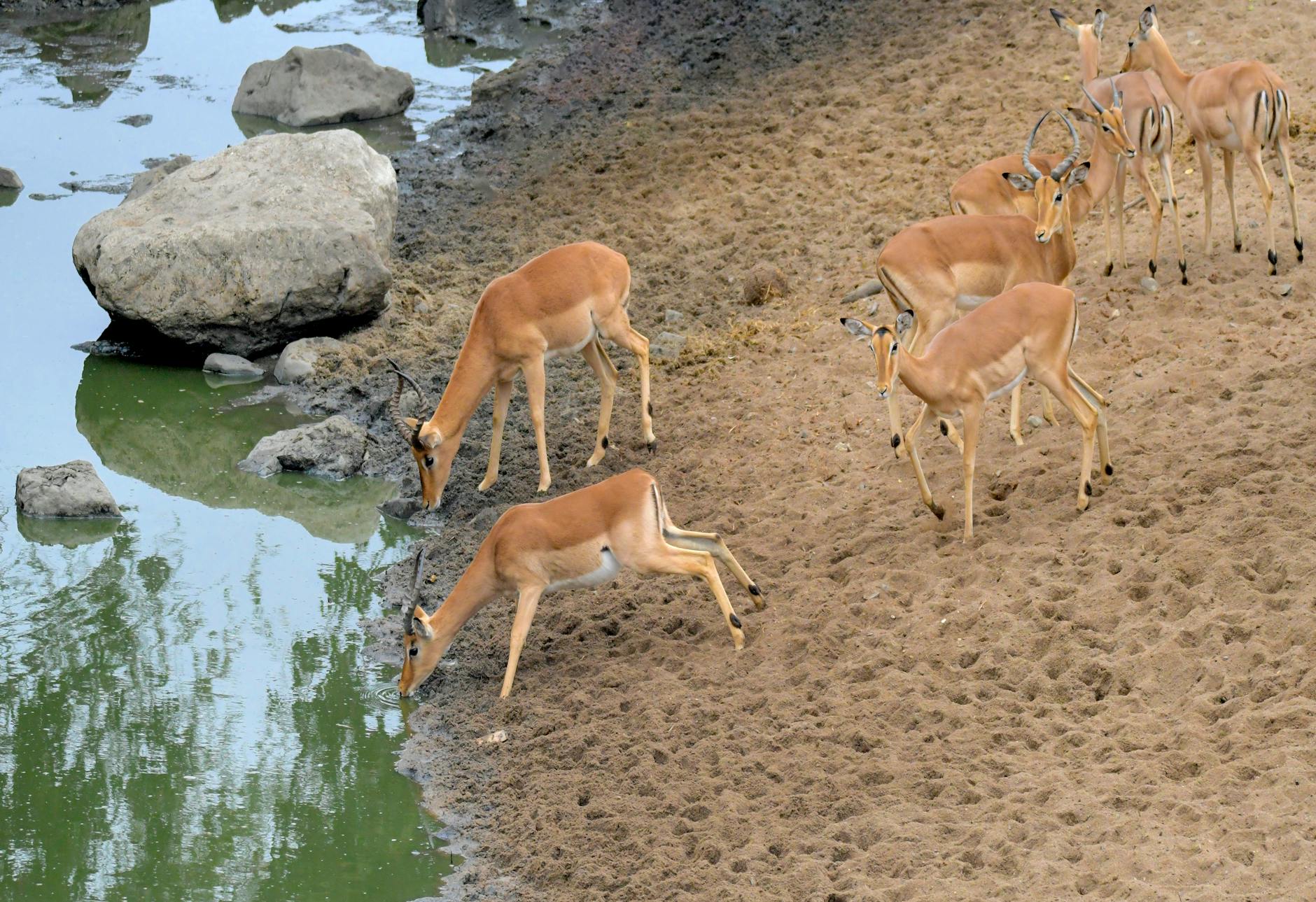 Ductwork Industry Logo Design Ideas – Logomakershop Blog