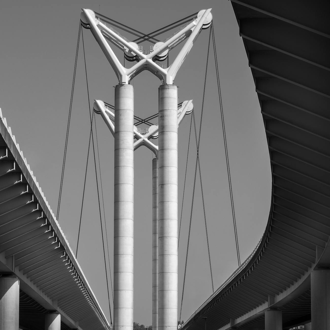 How to Create a Logo for My Own Civil Litigation Industry ...