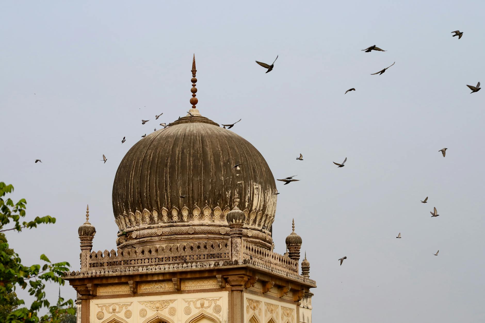 How to Create a Logo for My Own Disaster Relief Industry ...