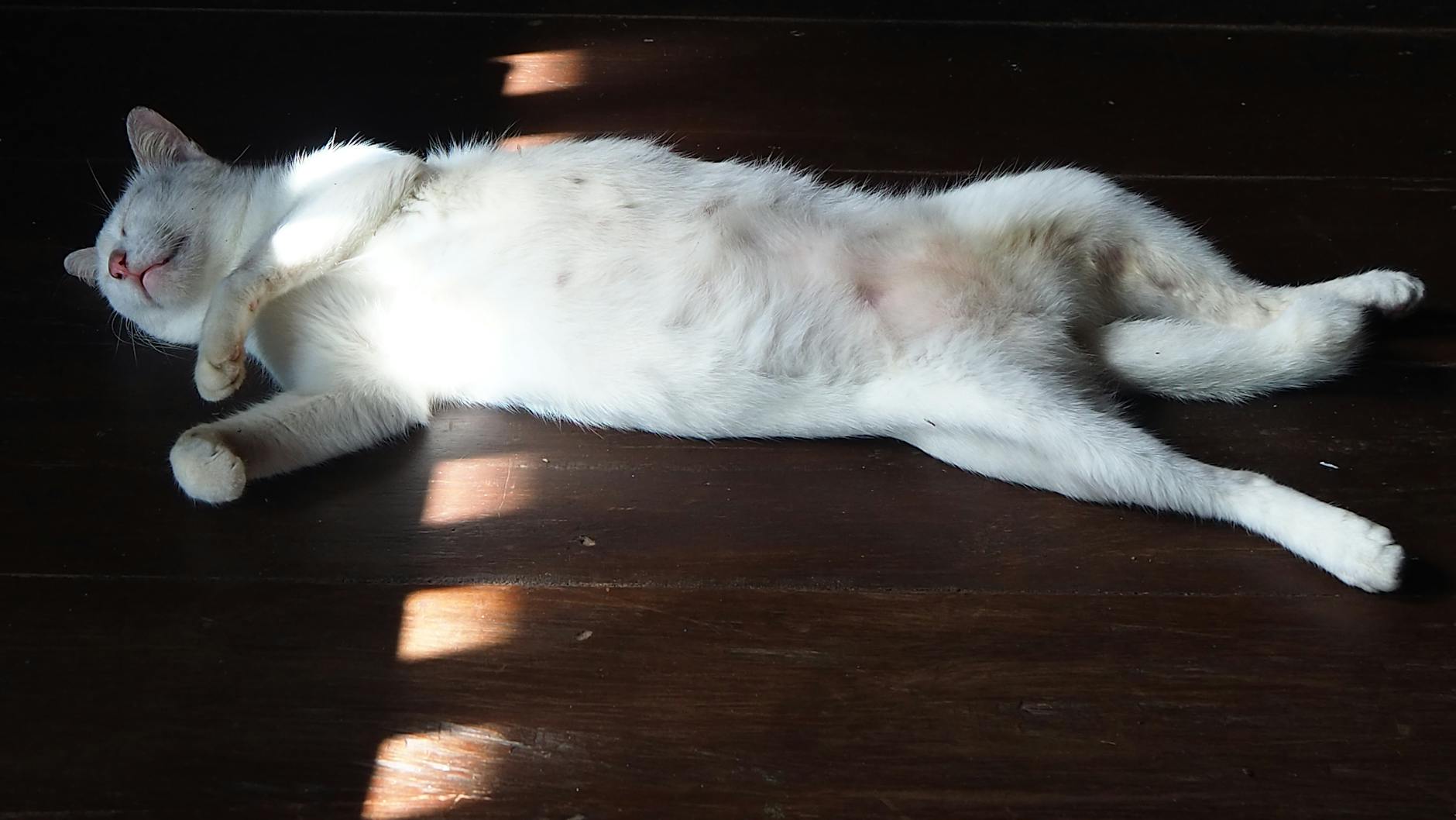 Residential Demolition Industry Logo Design Ideas – Logomakershop Blog