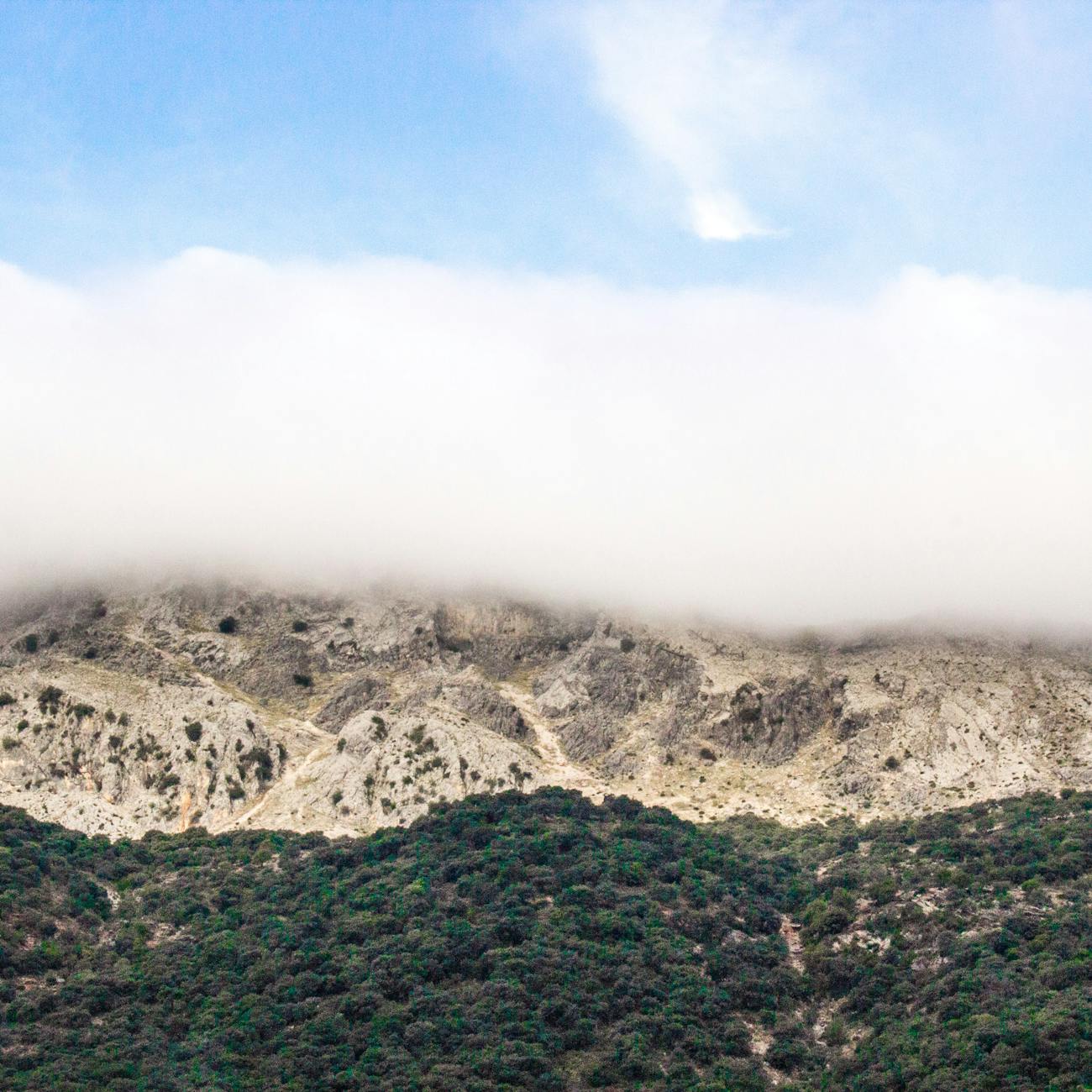 How to Create a Logo for My Own Environmental Summit Event ...