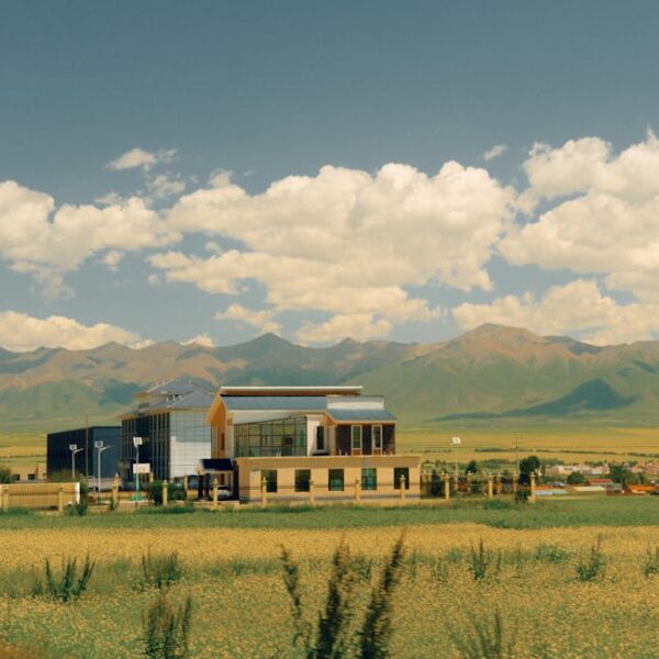 What is Design Language Development – Logomakershop Glossary