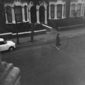 What is Dollar Tree Logos – Logomakershop Glossary