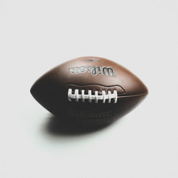 What is Football Team Emblems – Logomakershop Glossary