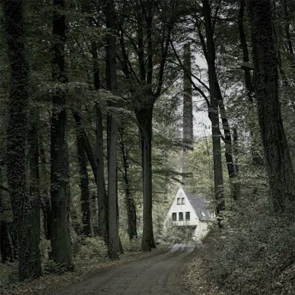 What is Generate Svg Path – Logomakershop Glossary