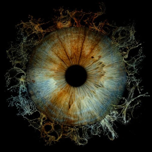 What is Human Sketch Anatomy – Logomakershop Glossary