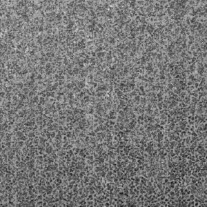 What is Monochrome Design – Logomakershop Glossary