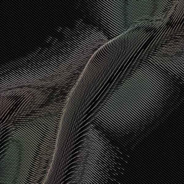 What is Three-Dimensional Logos – Logomakershop Glossary